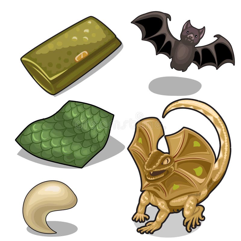 Frill Neck Lizard Stock Illustrations – 198 Frill Neck Lizard Stock ...