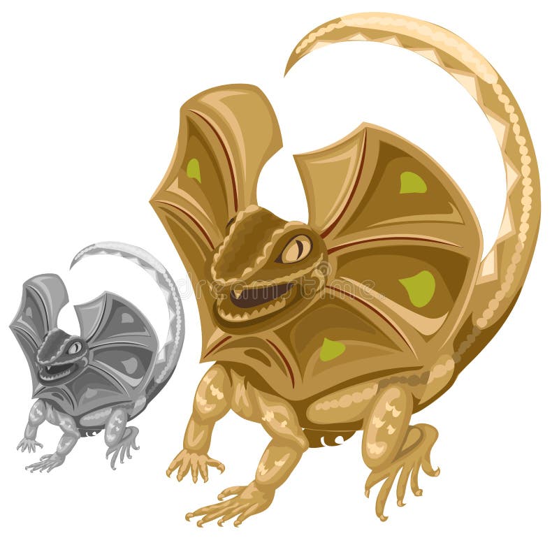 Frill Stock Illustrations – 4,330 Frill Stock Illustrations, Vectors ...