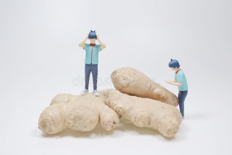 A Figure with the Ginger Root Isolated on White Back Ground Stock Photo ...