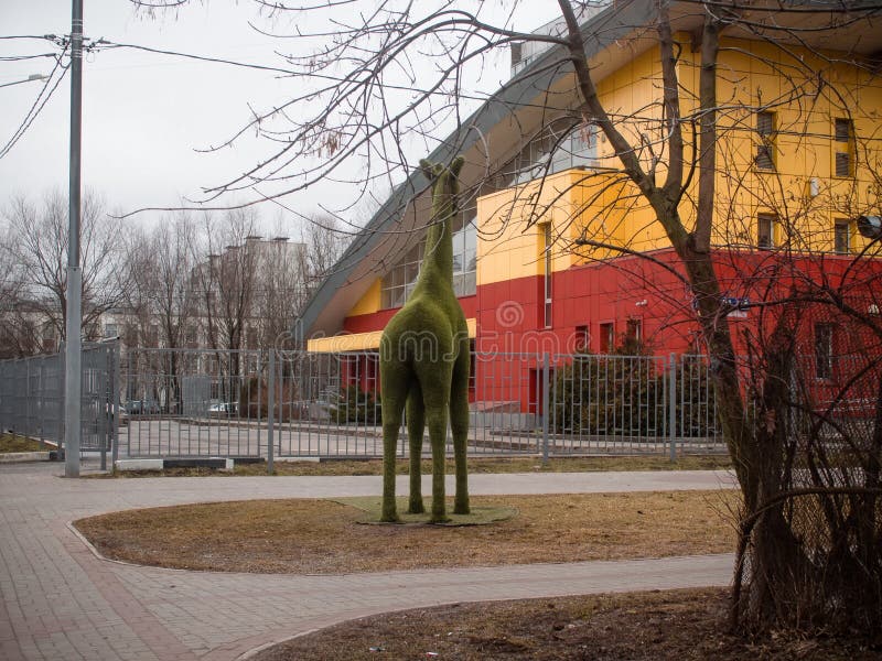 Giraffe street stock image. Image of africa, touristic - 27669029