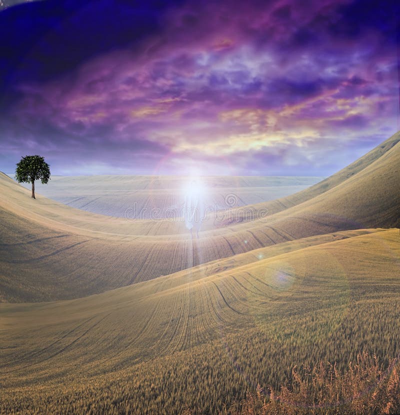 Tree on Hill with Rays of Light Stock Illustration - Illustration of ...