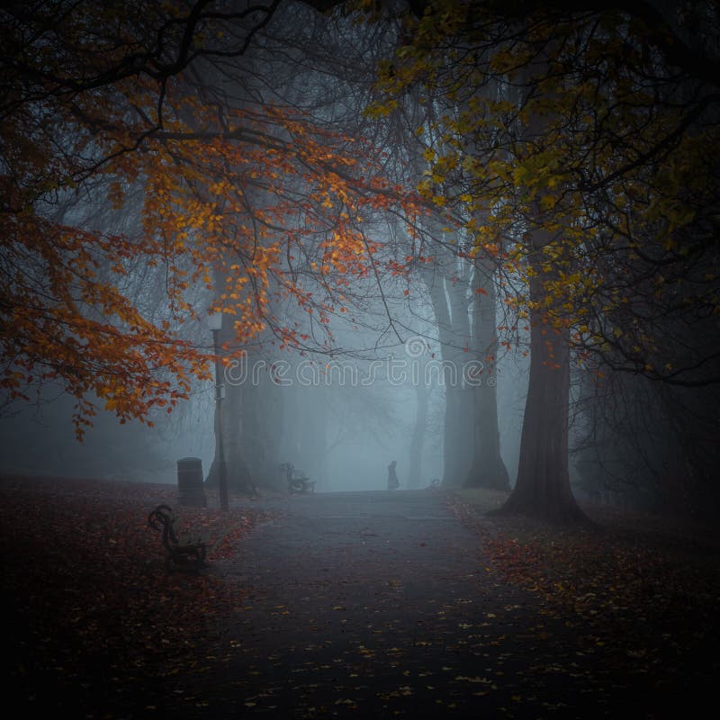 Figure in the Mist in Autumn Stock Image - Image of loneliness, north ...