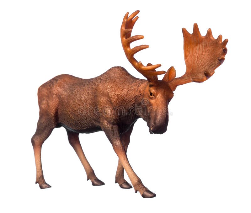 Figure of a moose stock image. Image of moose, cute, line - 52158555