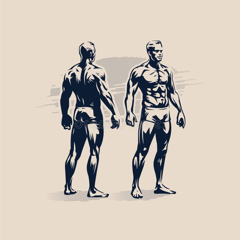 The Figure of a Muscular Man. Stock Vector - Illustration of isolated ...