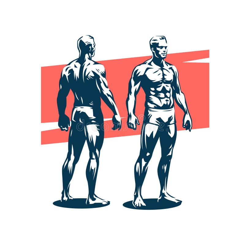 The Figure of a Muscular Man. Stock Vector - Illustration of head ...