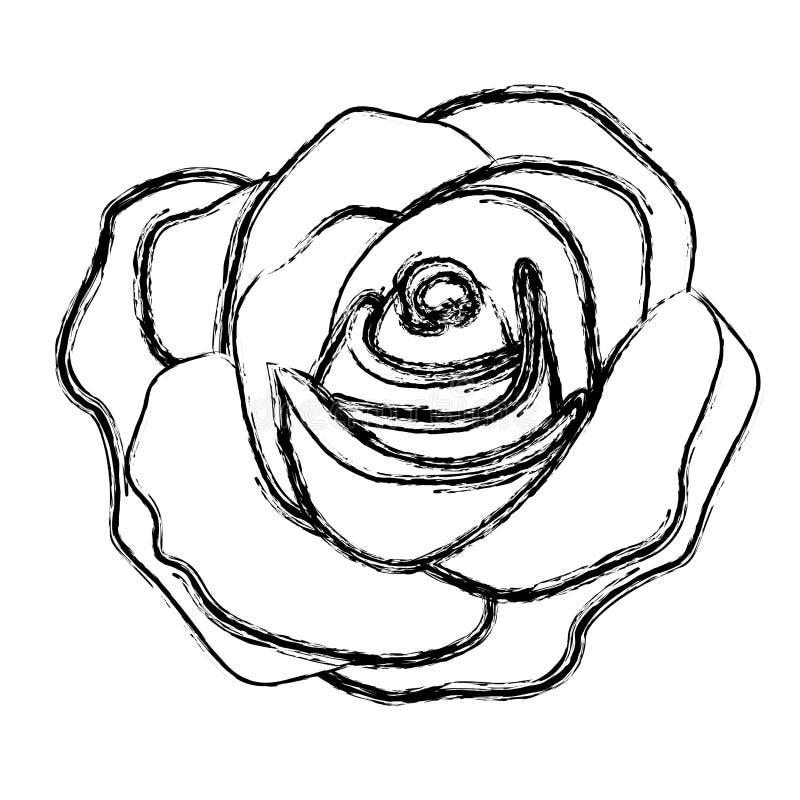 Figure Rose with Its Petal Icon Stock Illustration - Illustration of ...