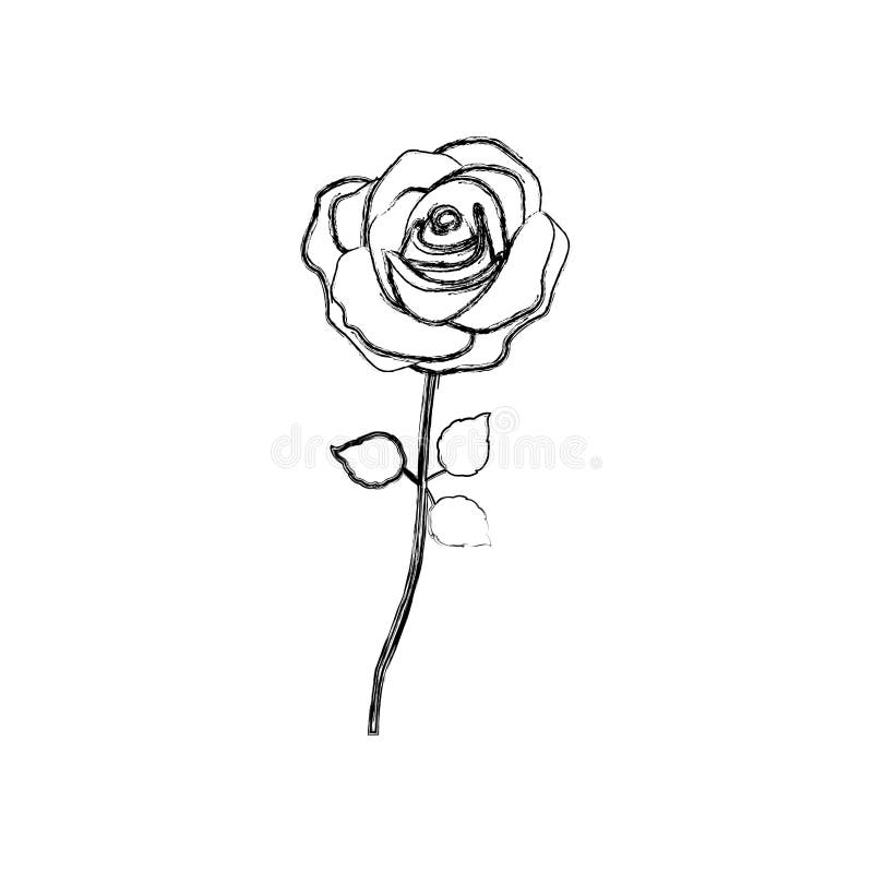 Figure Rose with Leaves Icon Stock Illustration - Illustration of ...