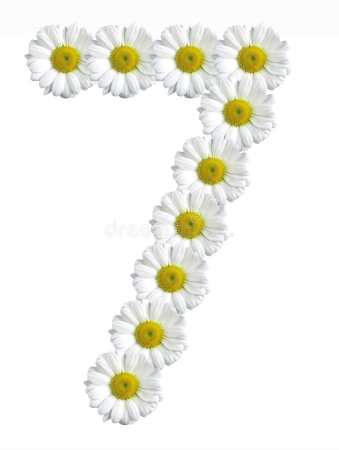 The seven flowers stock image. Image of catalonia, barcelona - 82989479