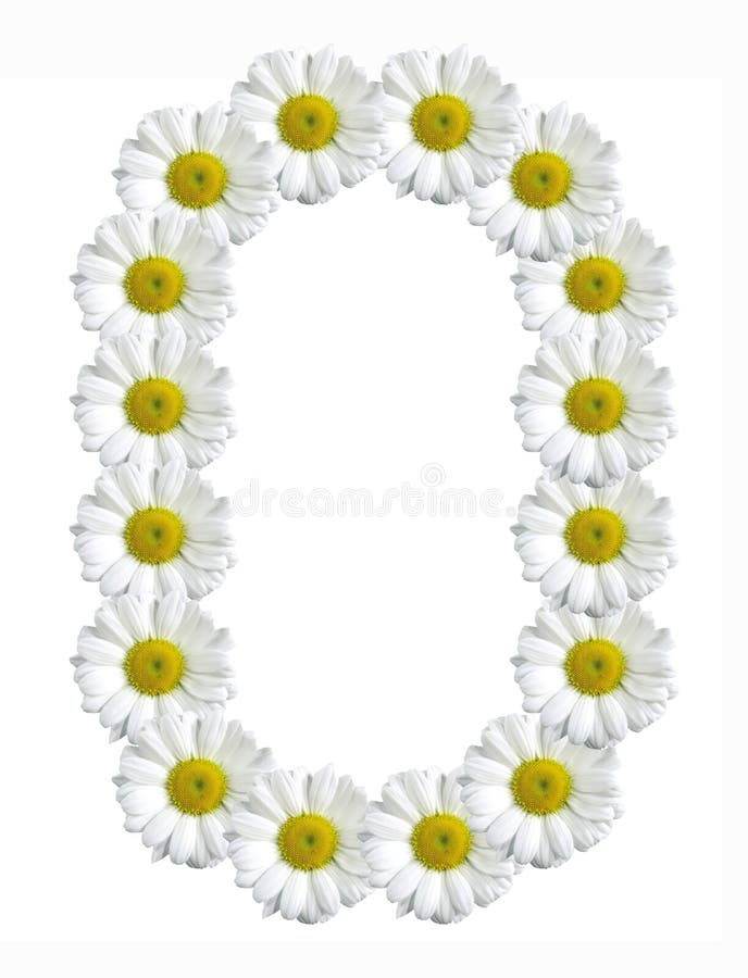 Figure Zero of Flowers Daisies on a White Background Stock Photo ...
