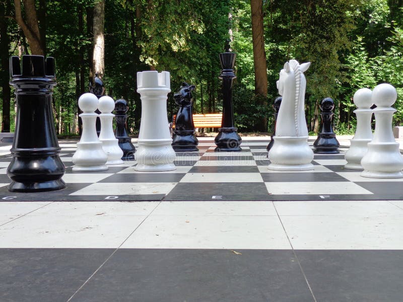 Figures of Chess in the Park. Stock Image - Image of caffe, leaves ...