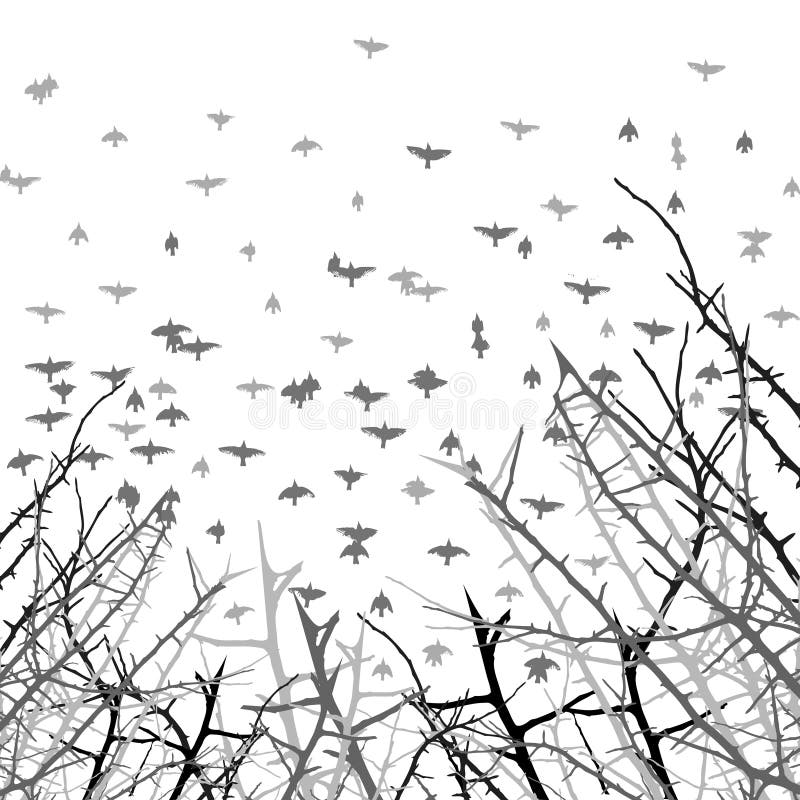 Flock Flying Birds Tree Branch Tree Stock Illustrations – 592 Flock ...