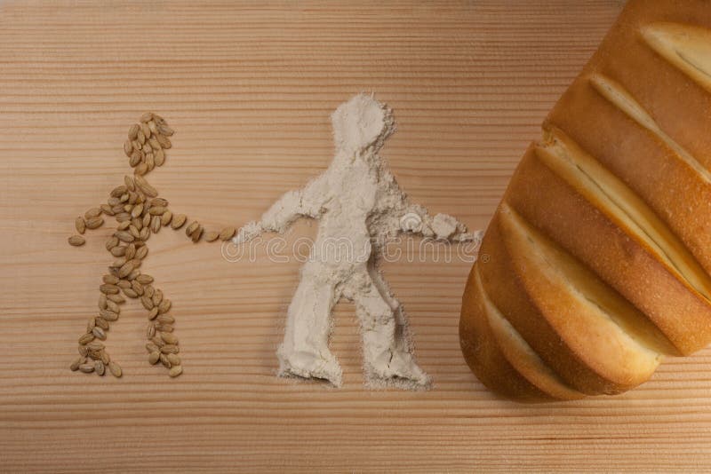 Figures from Grain, Freshly Ground Wheat. the Concept of the Process of ...