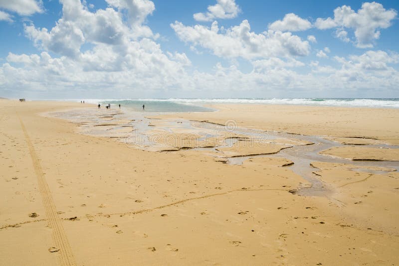 Figures in the Shallow Water of the Sandy Coast of Atlantic Ocean Stock ...