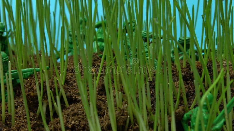 Figures of Soldiers are Put in Military Installation on the Ground from ...