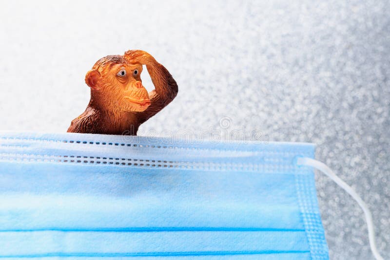 Figurine of a Monkey Behind a Medical Surgical Mask. the Concept of ...
