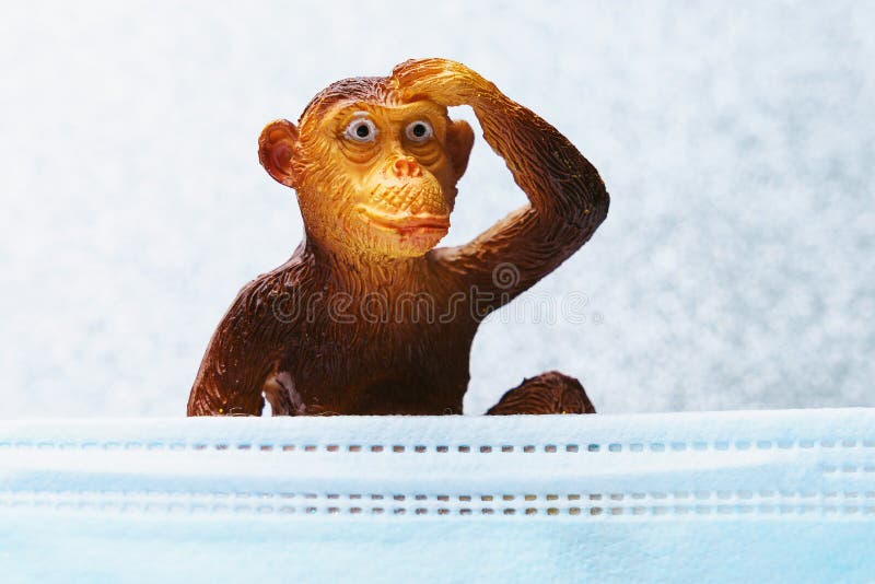 Figurine of a Monkey Behind a Medical Surgical Mask. the Concept of ...