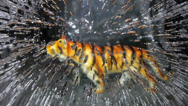 Figurine of a Tiger in the Frozen Water in the Cold Stock Image - Image ...