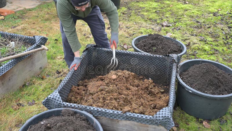 Fiiling in and Spreading Out Horse Manure in Raised Bed in Garden Stock ...