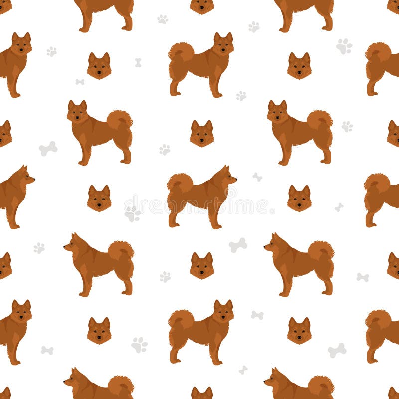 Spitz Dog Seamless Pattern on Orange Background. Vector Flat Illustration for Packaging ...