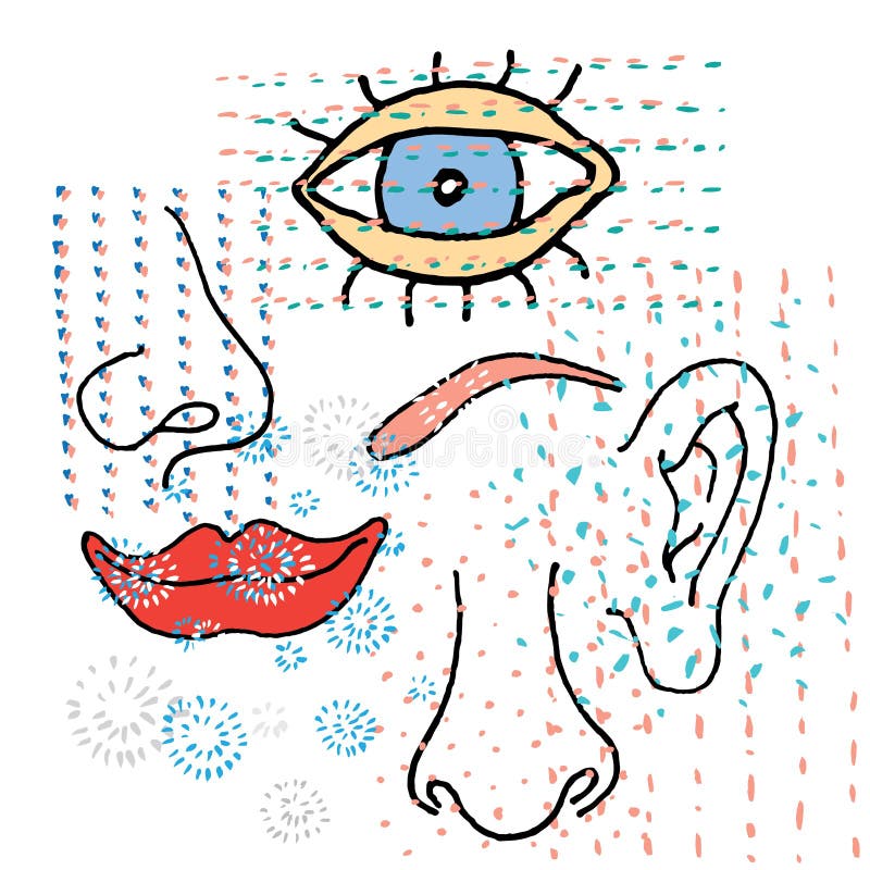 Fije Con Diversas Partes De Un Rostro Humano Ilustración del Vector ...