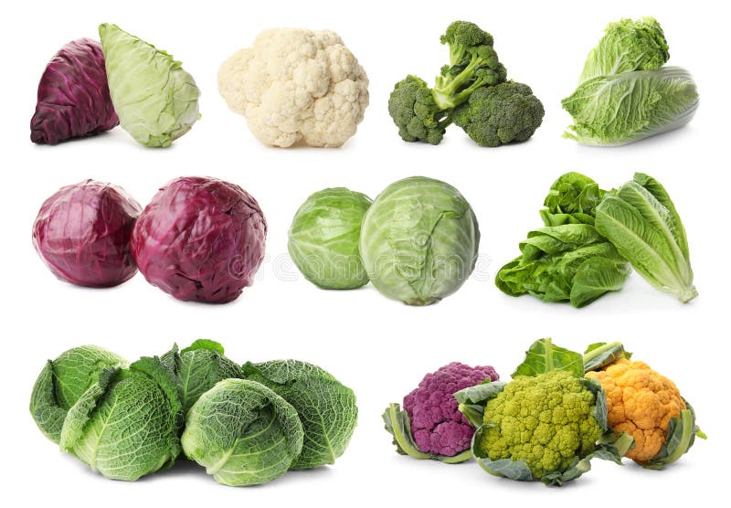 Lechuga Romana Col De China Y Lechuga Frescas En El Fondo Blanco Imagen ...