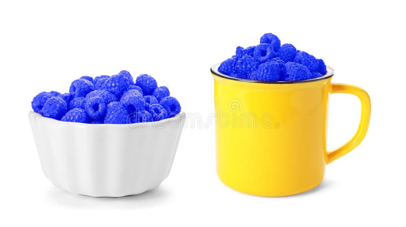 Fije Con Leucodermis Azules Del Rubus De Las Frambuesas Foto de archivo ...