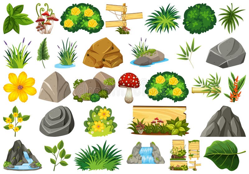 Fije De Objetos De La Naturaleza Ilustración del Vector - Ilustración ...