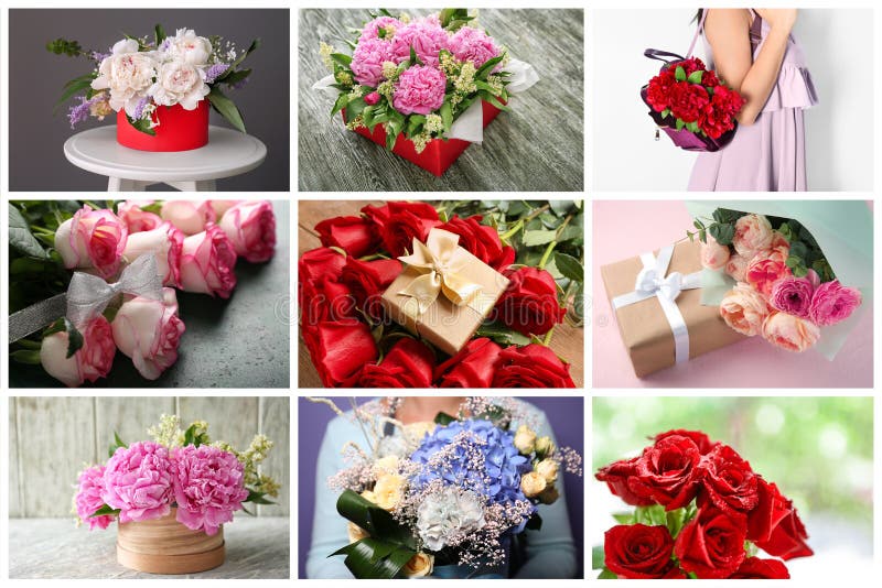 Fije De Ramos Hermosos De La Flor Foto de archivo - Imagen de ...