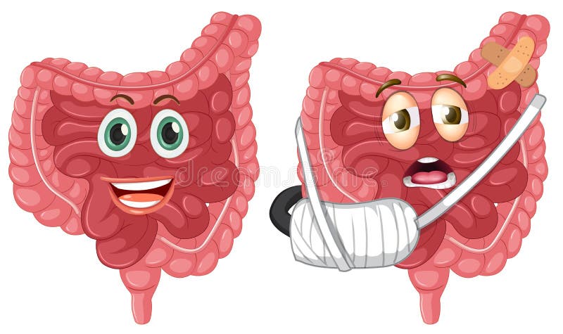 Carácter Feliz Sano Fuerte Del Intestino Ilustración del Vector ...