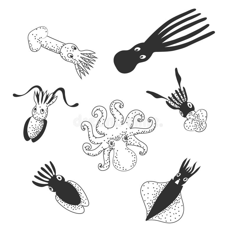 Fije Del Pulpo Lindo, Jibia, Calamar Ilustración Del Vector Ilustración ...
