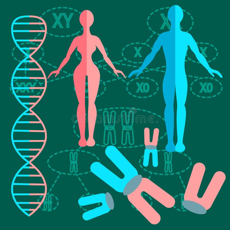 Fije a La Gente De La Genética Ilustración del Vector - Ilustración de ...