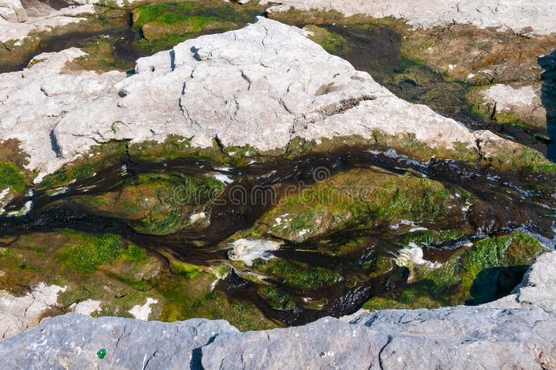 Filamentous Algae in Water Flowing Over Granite Rocks Stock Photo ...