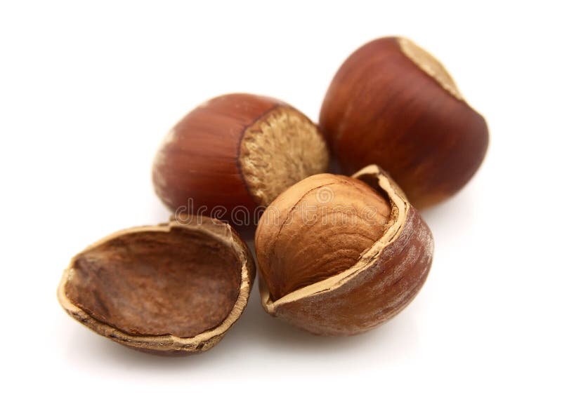 Filbert stock image. Image of full, kernel, husk, four - 16610597