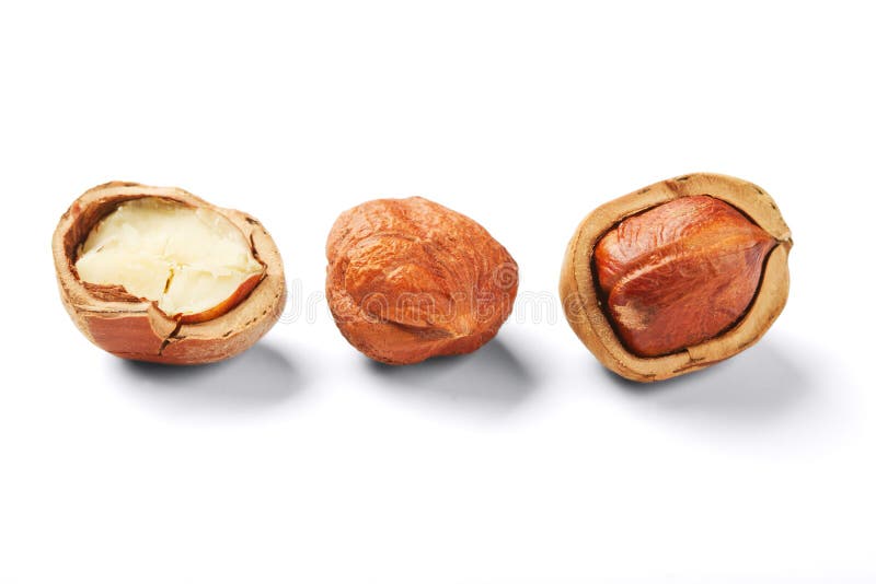 Filbert stock image. Image of group, nice, white, kernel - 30481717