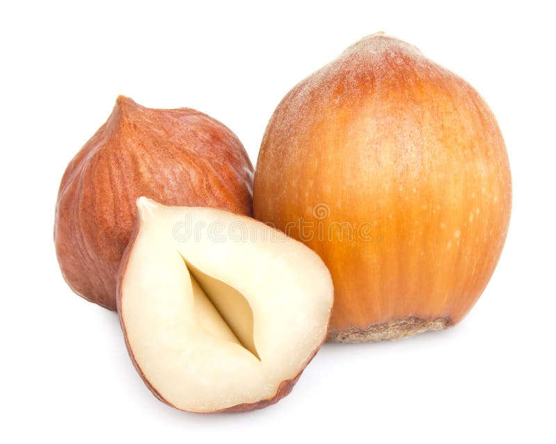 Group of Filberts with Leaves. Stock Photo - Image of ingredient ...