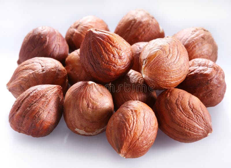 Filbert stock photo. Image of close, object, filbert, separately - 8372866