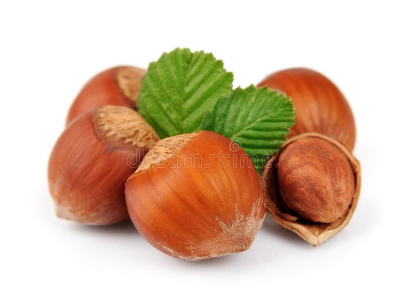 Filbert close up stock photo. Image of nutshell, snack - 41270750