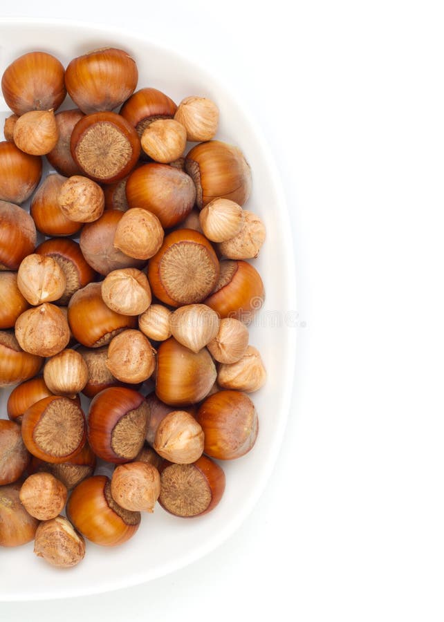 Filbert nut stock photo. Image of closeup, hazelnut, fruit - 21966954