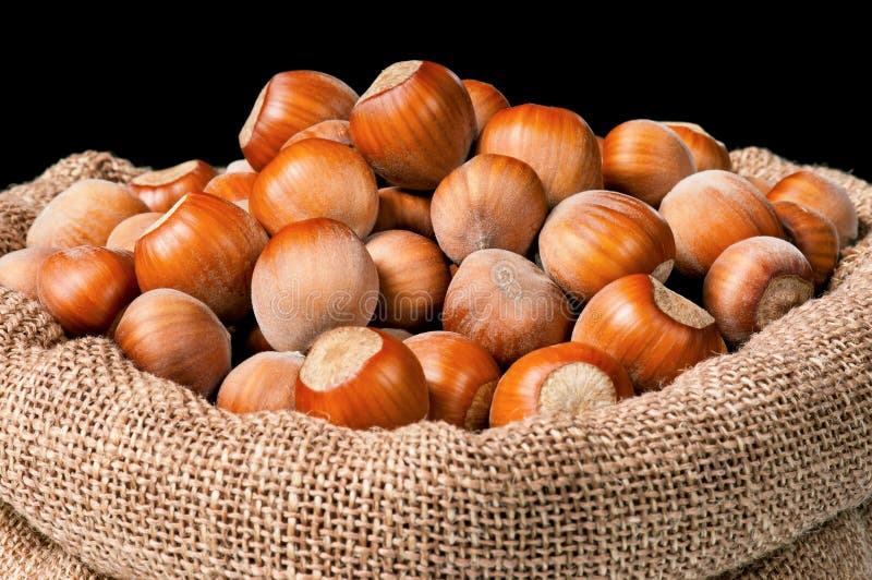 Filberts in bag stock image. Image of market, dark, forest - 34598451