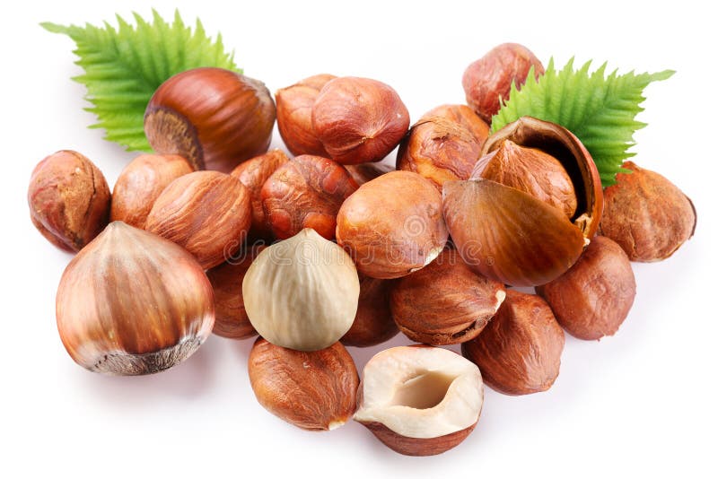 Group of Filberts with Leaves. Stock Photo - Image of ingredient ...
