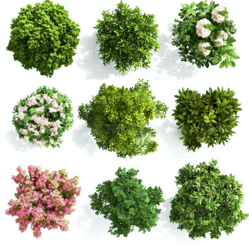 File Depicting a Top View of a Tree Design Element Set with a ...