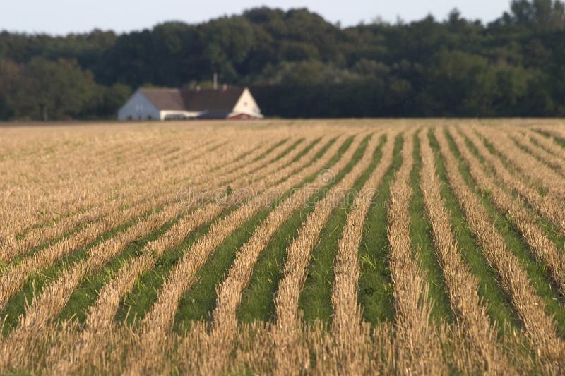 Filed and house stock image. Image of brown, field, design - 54519
