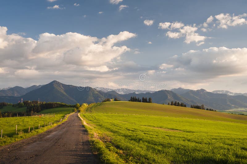 Filed road stock image. Image of horizon, landscape, evening - 24817829