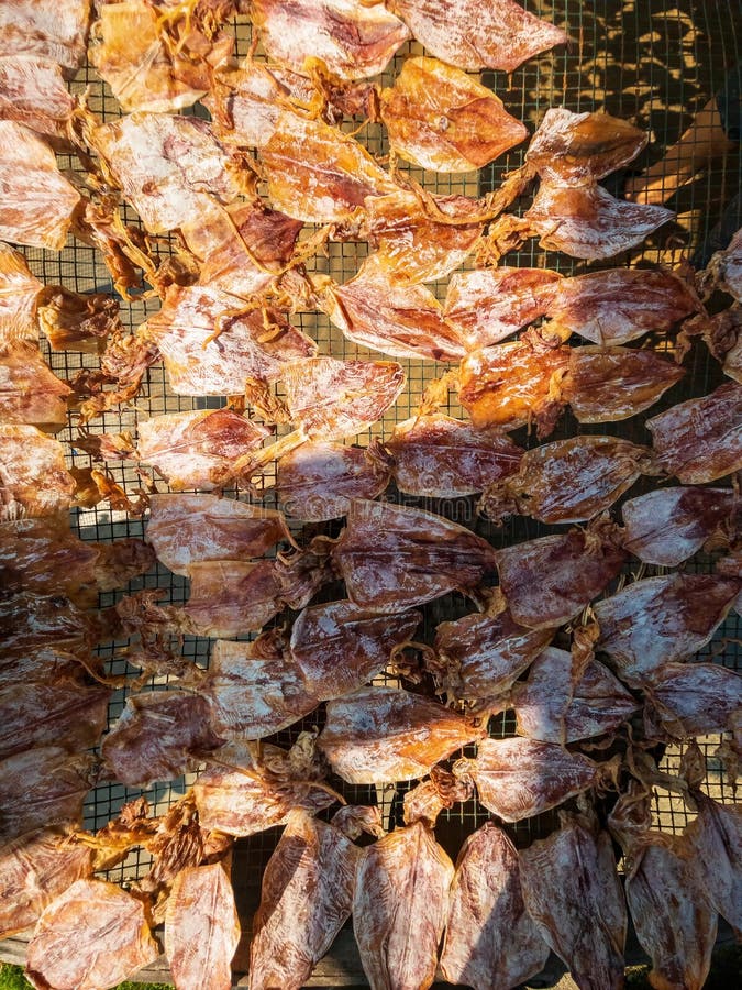 Fileira De Lula Seca Seca Sob O Sol Quente Foto de Stock - Imagem de homem, marrom: 254277930