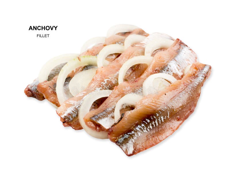 Filet D'anchois D'isolement Image stock - Image du salé, gourmet: 107232593