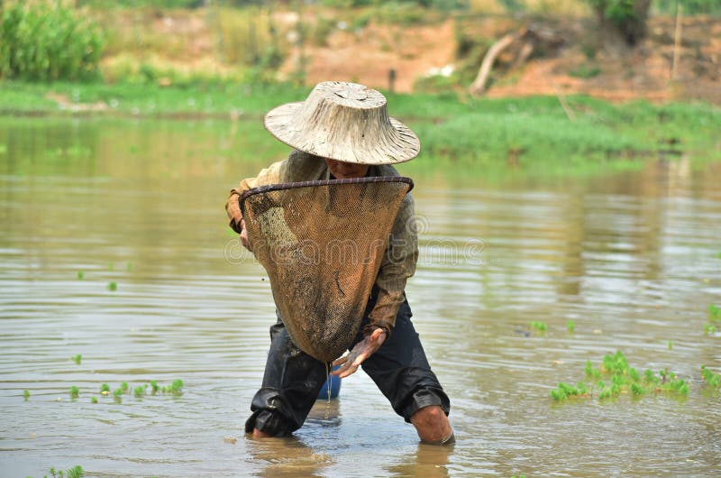 Filet de pêche de mamie image stock éditorial. Image du branchement ...