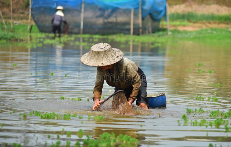 Filet de pêche de mamie image stock éditorial. Image du gens - 68363864
