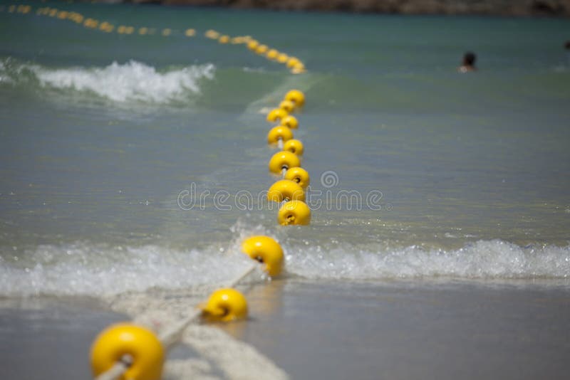 Filet de requin photo stock. Image du corde, plusieurs - 38525486
