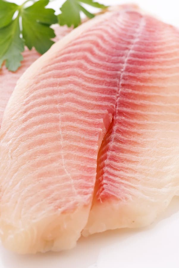 180 Photos de Filet Cru De Requin - Photos de stock gratuites et libres ...