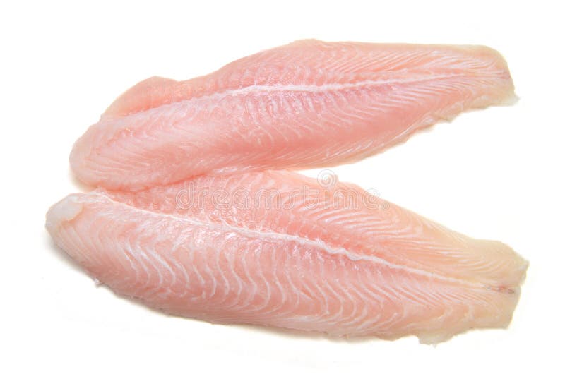 Poissons De Panga, Laniarius De Pterogymnus Image stock - Image du ...